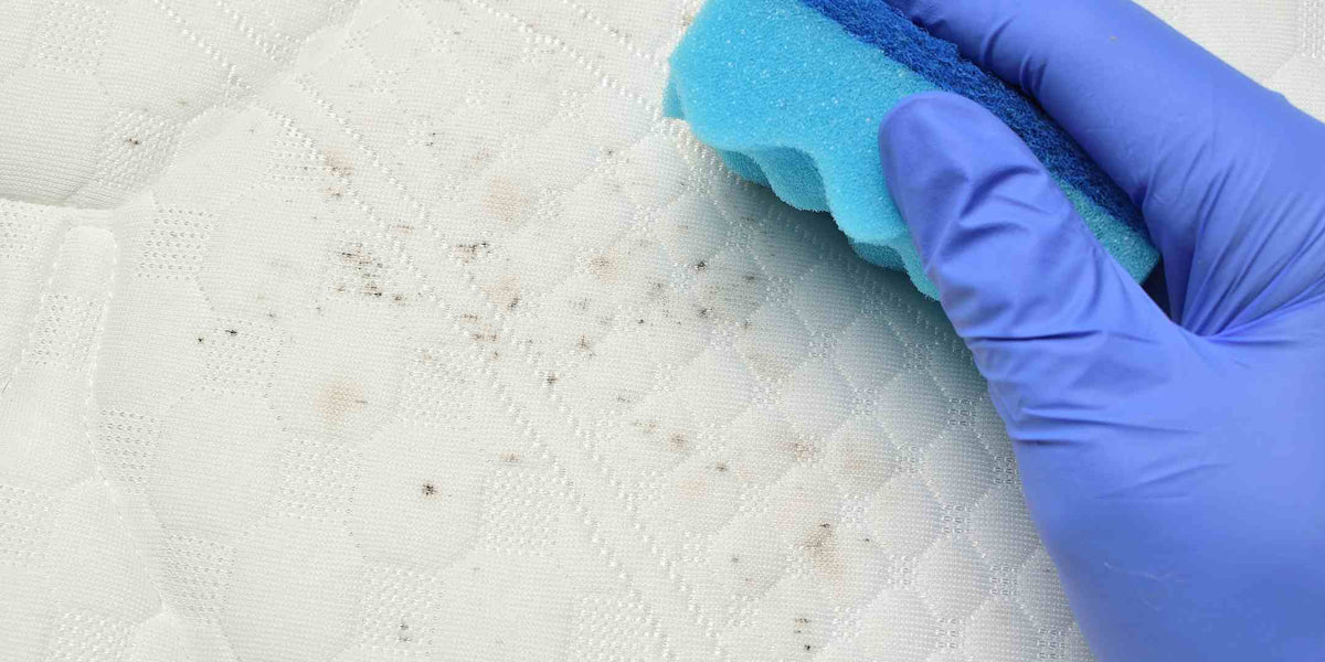 How to Spot and Treat Mould on Your Mattress